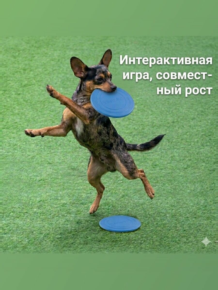 Фрисби для собак силиконовый, мягкая летающая тарелка для дрессировки, плавающий диск, 17.8 см, синий для игр на воде для пляжа для активного отдыха