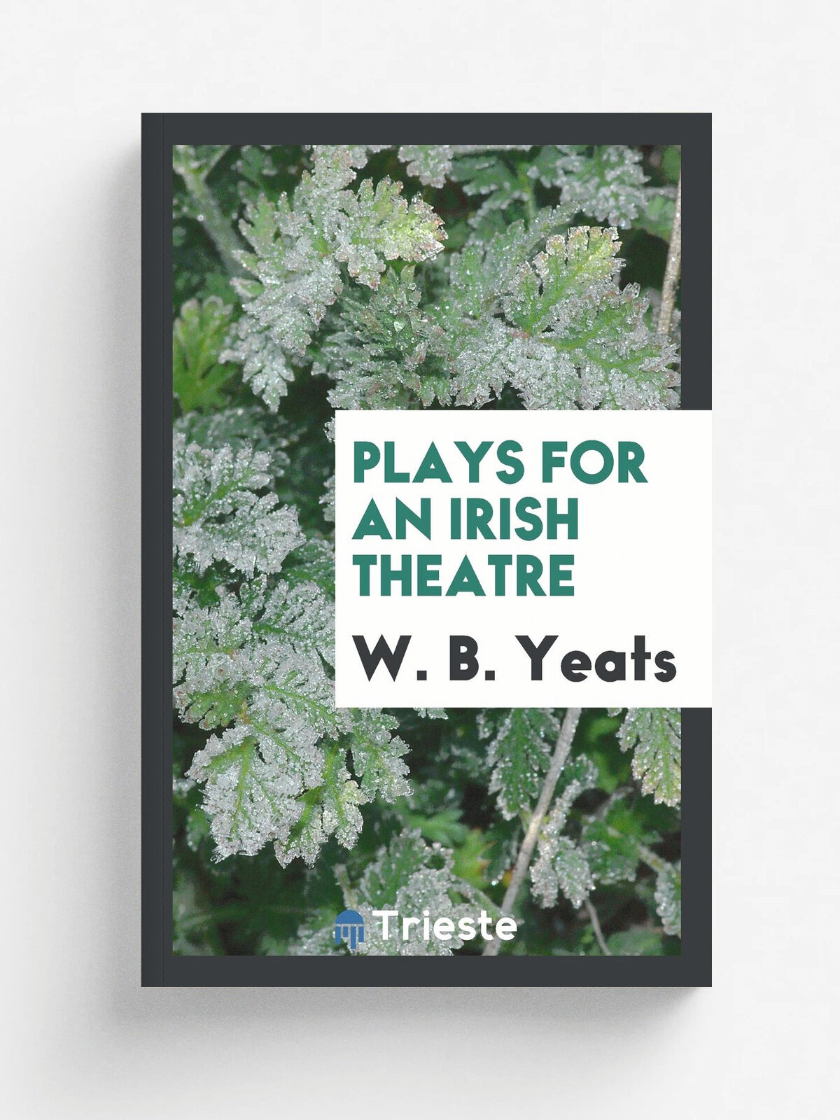 Plays for an Irish theatre