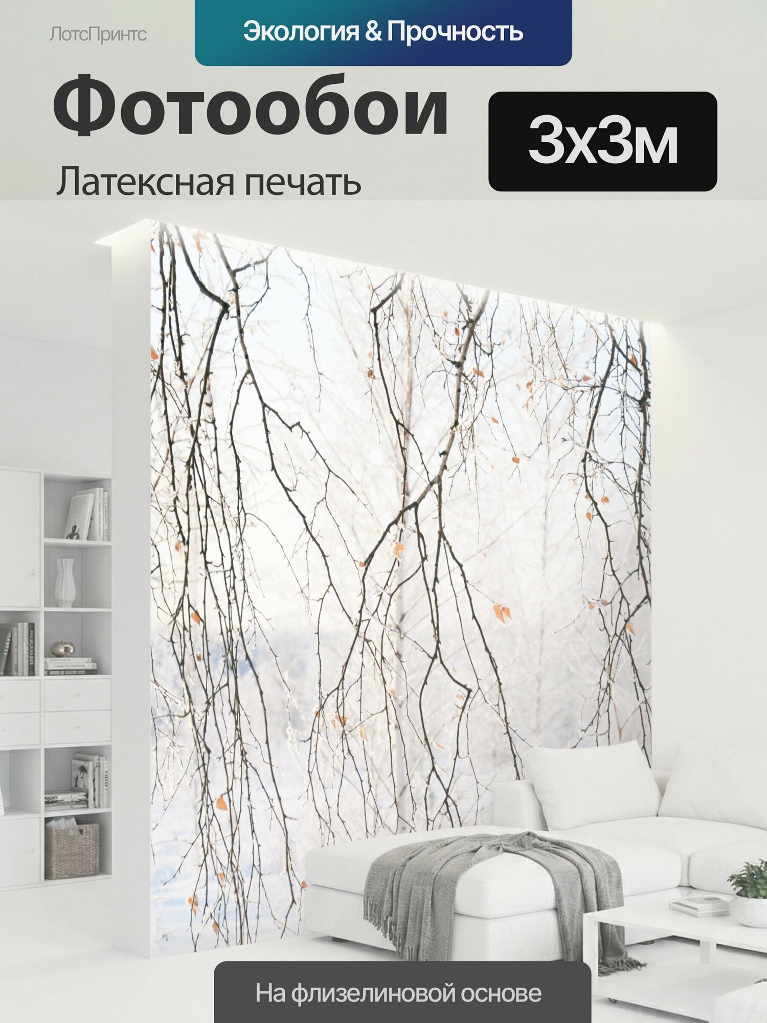 Фотообои моющиеся ударопрочные "Березовые ветки Березовые ветки в тумане березы лес туман ветки зима холод мороз фон размытый фон нервы" 300x300 см. латексная печать
