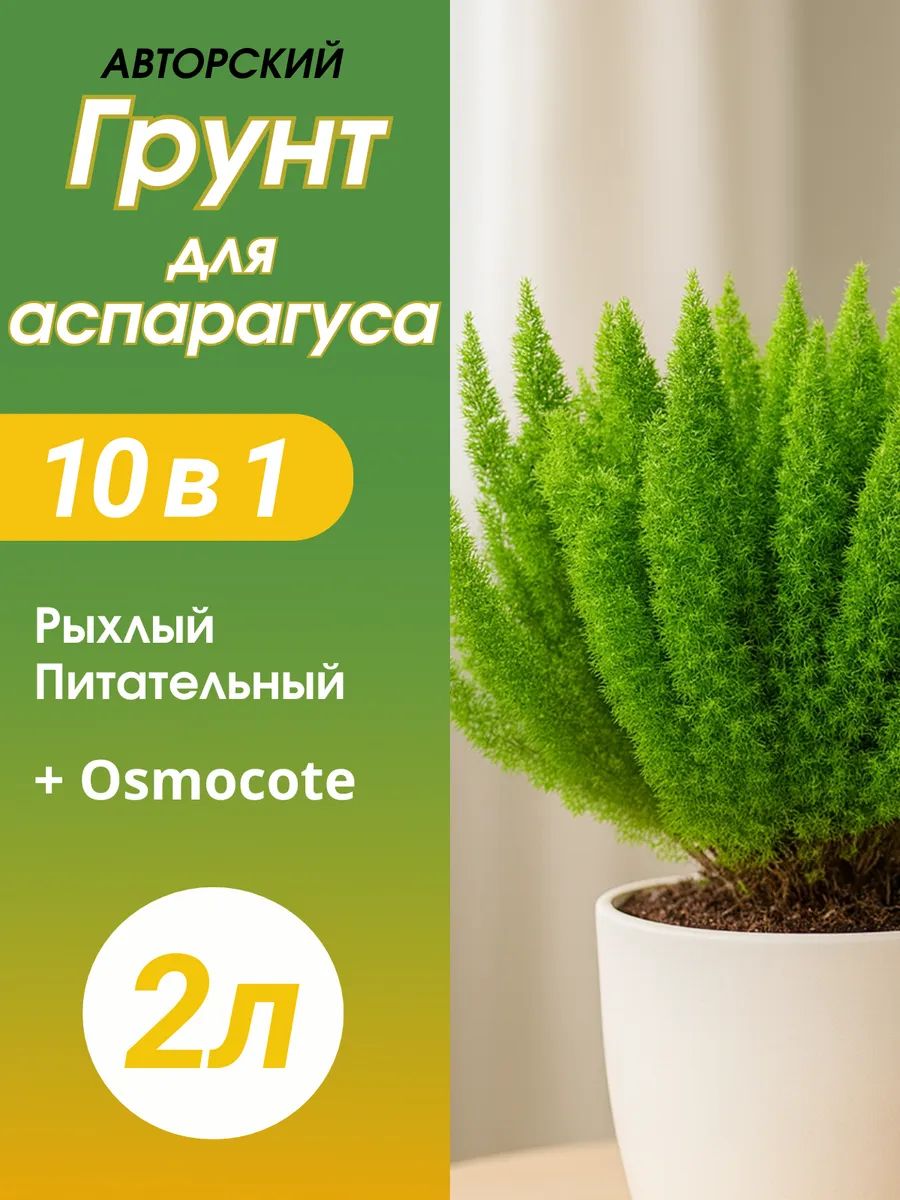 Грунт для Аспарагуса 2л готовый
