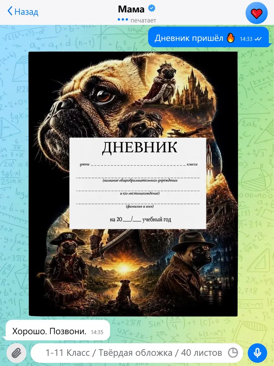 Школьный дневник с принтом y2k pinterest