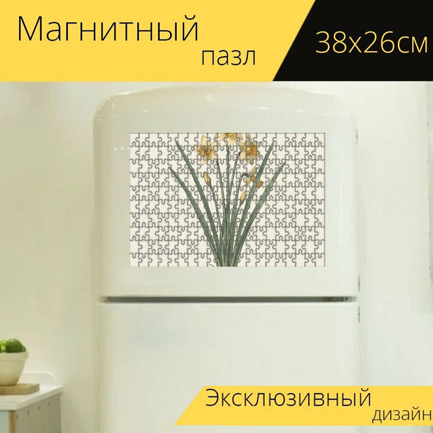 Магнитный пазл "Ботаническая иллюстрация нарциссов. Винтажный рисунок весенних цветов с тонкими листьями, бутонами и корнями на светлом фоне. Нежные." для интерьера, 38х26 см.