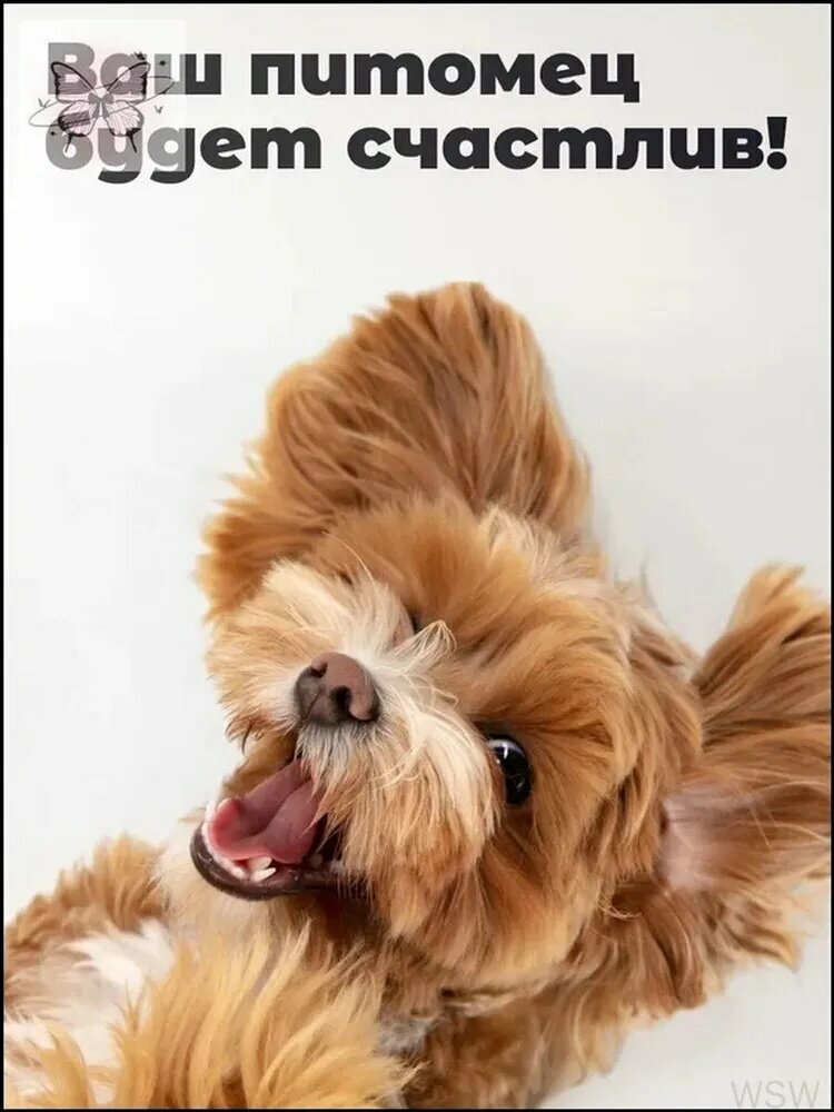 Миска для животных — фото 1