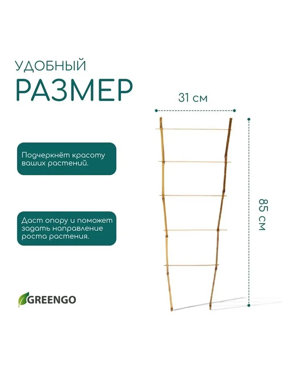 Стильная бамбуковая шпалера для растений