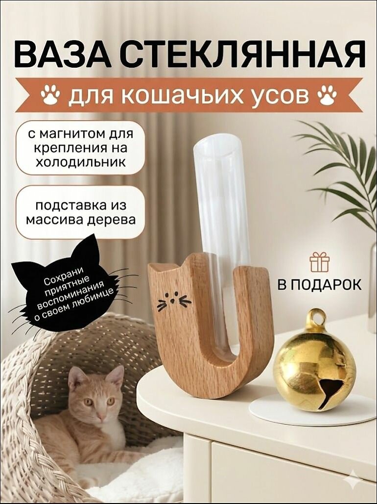 Прозрачная стеклянная ваза для кошачьих усов с магнитомПрозрачная стеклянная ваза для кошачьих усов с магнитом