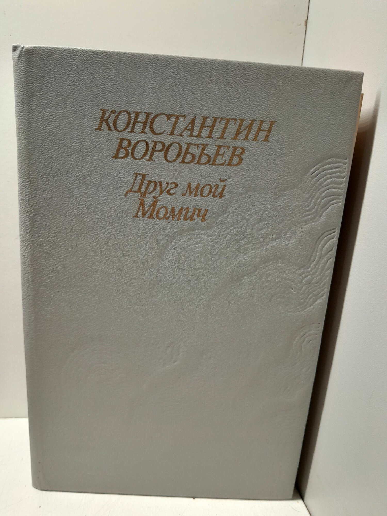 Друг мой Момич / К. Д. Воробьев