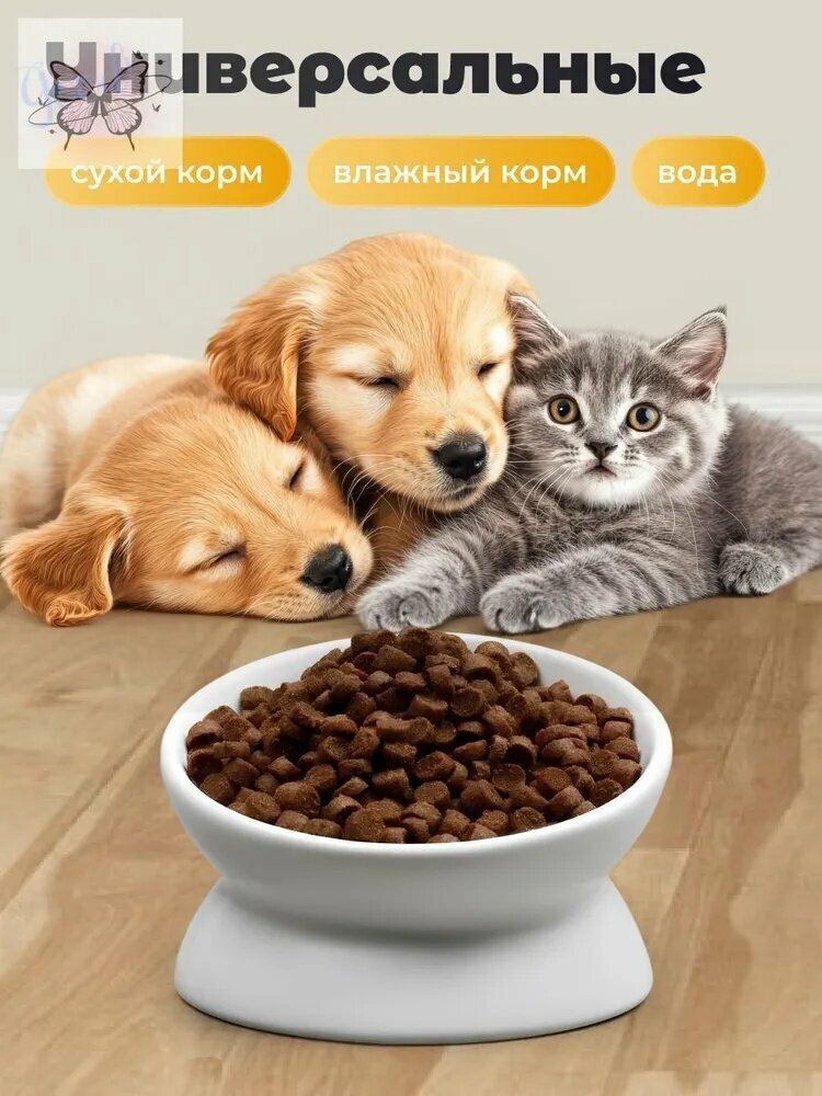 Керамическая миска для кошек и собак на подставке SSY1