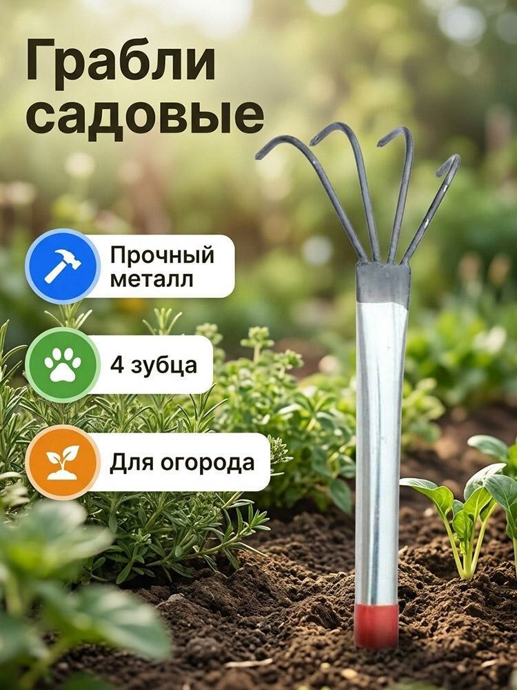 Сельскохозяйственные грабли
