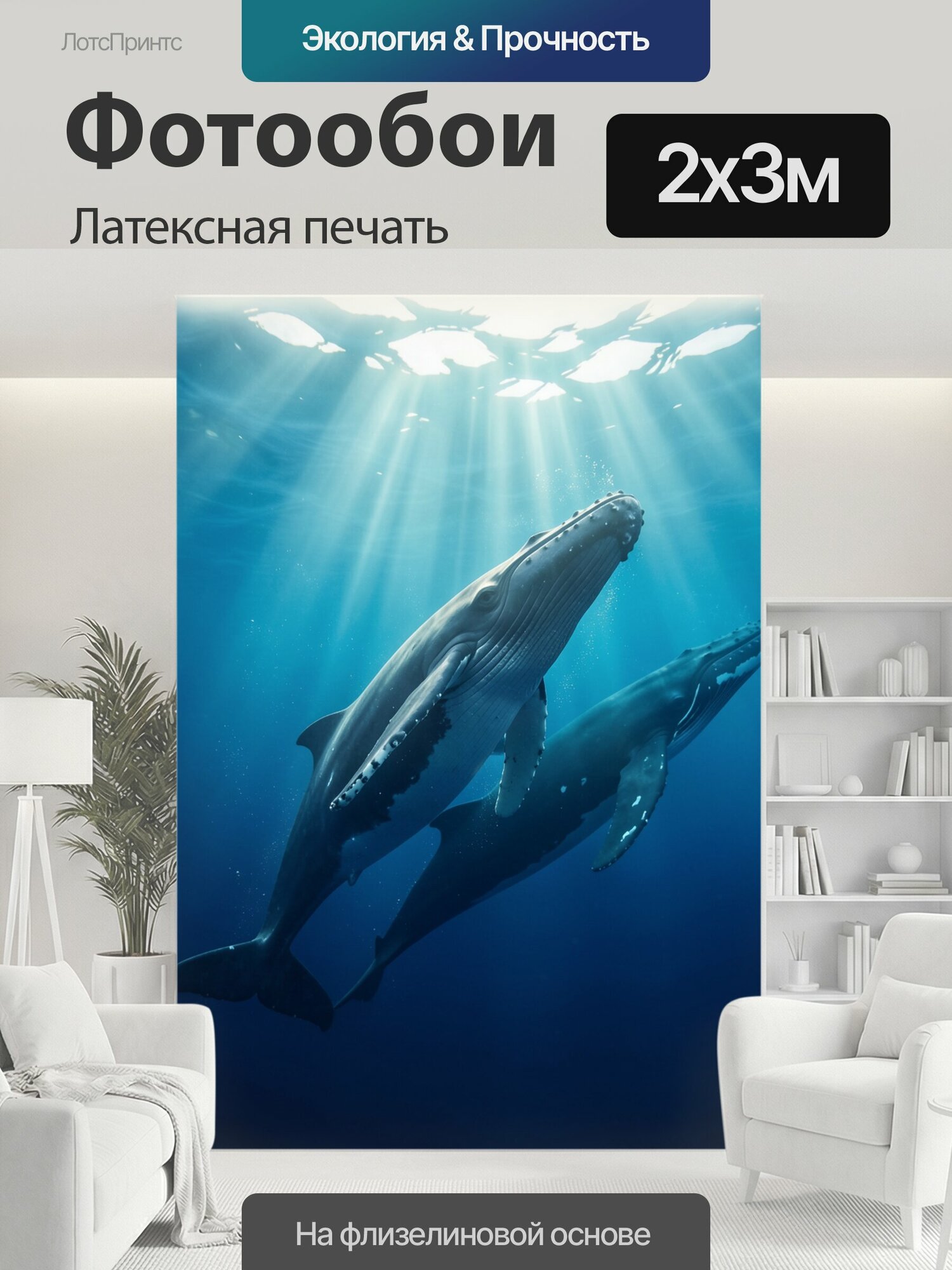 Фотообои моющиеся ударопрочные "Киты в лучах океана. Подводная сцена с двумя крупными морскими великанами, плывущими в глубине синего моря." 200x300 см. латексная печать