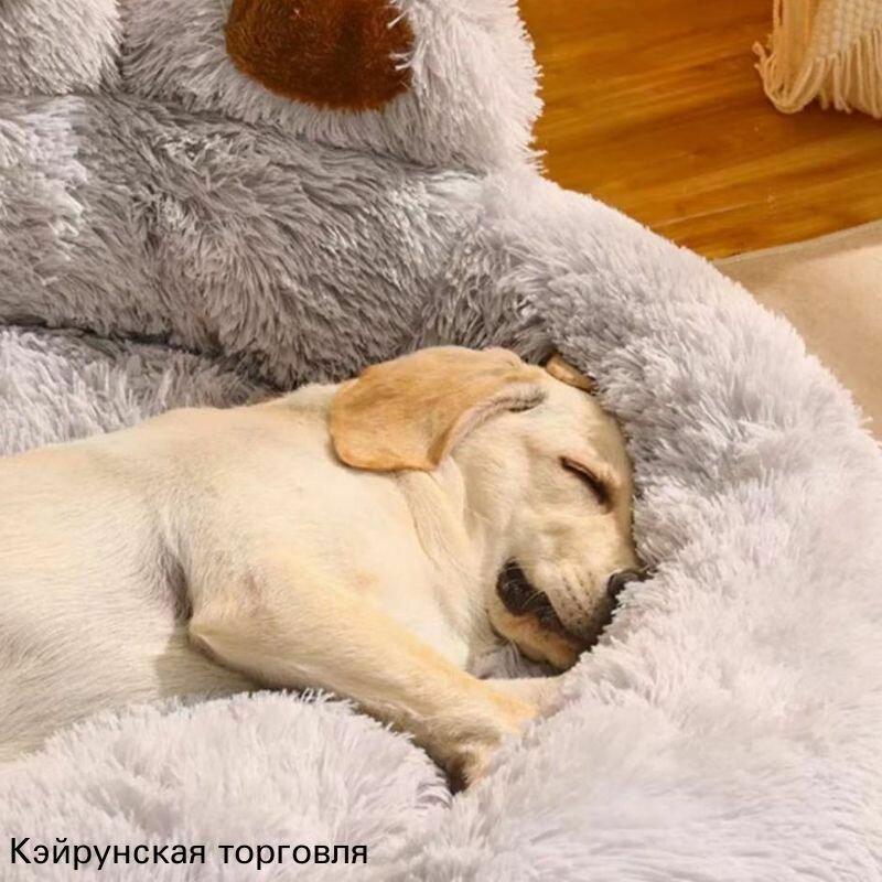 Стильный домик для животных, уютный, прочный, для кошек и собак — фото 1