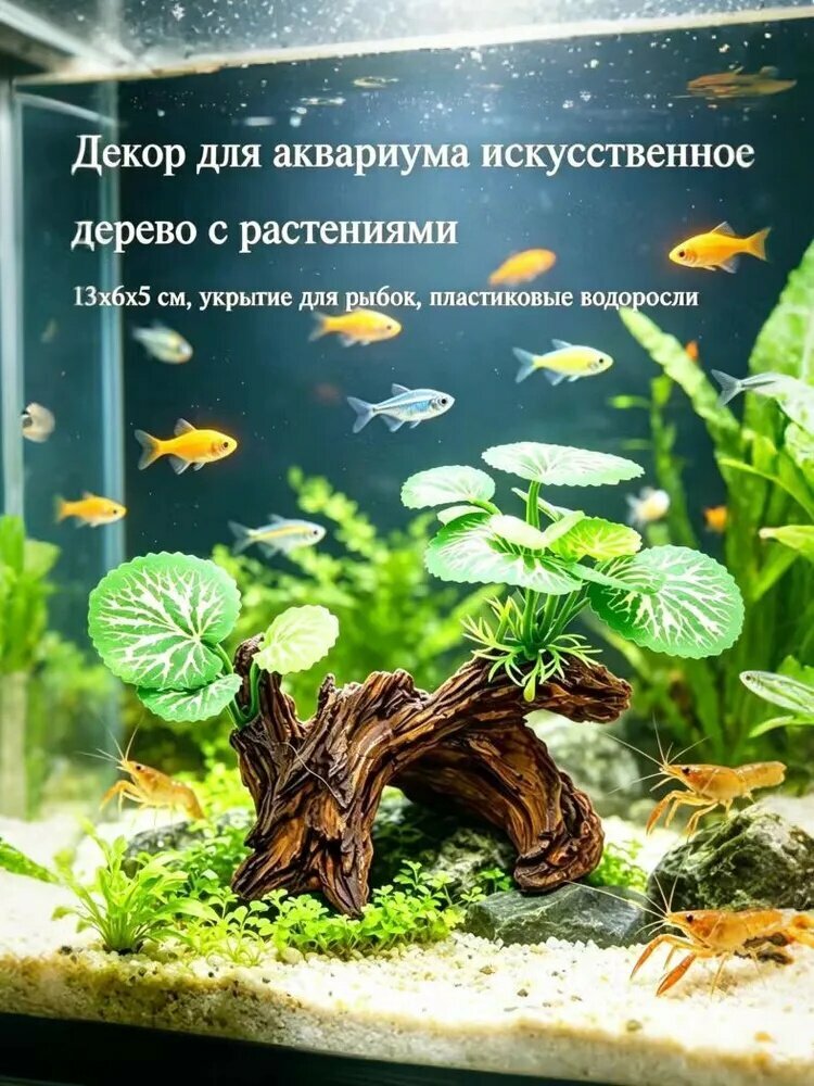 Эксклюзивная имитация лесной среды для комфортного обитания амфибий, размеры 13 на 6 на 5 см