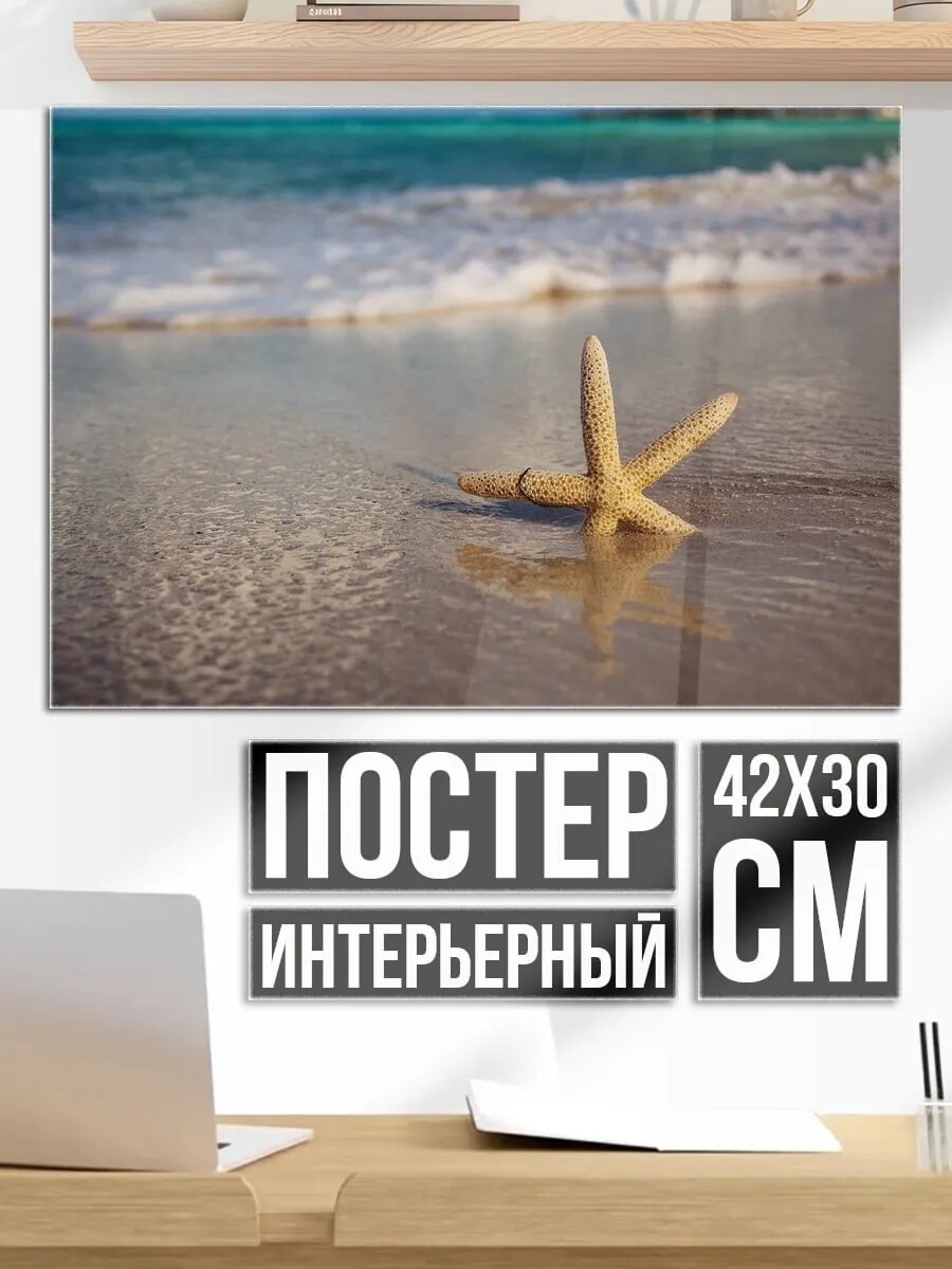 Плакат постер Морская звезда на берегу