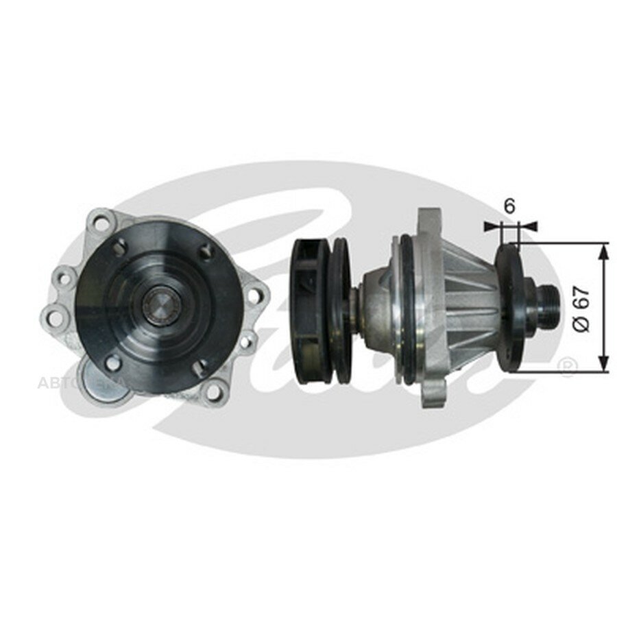 Водяная помпа 7702-10141 GATES WP0141 BMW 3 (E36/E46), 5 (E34/E39/E60), 7 (E38/E65), X5 (E53) 2.0-3.0 90-08