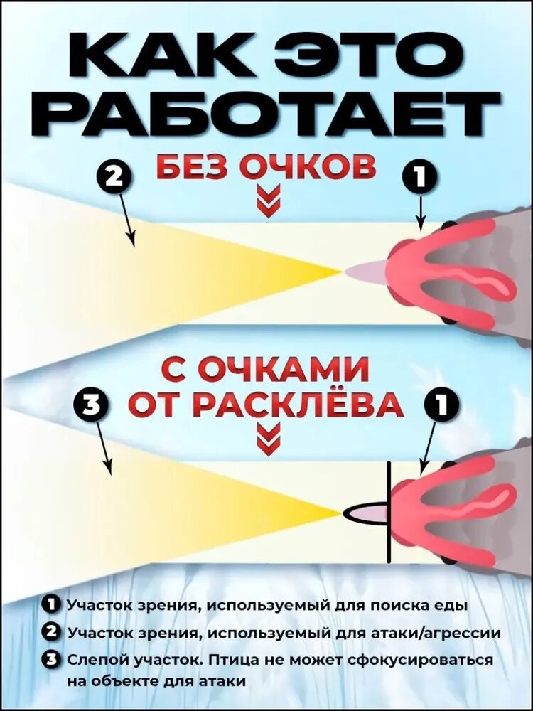 Очки от расклева для птиц — фото 1