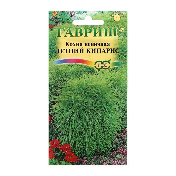 Семена цветов Кохия веничная 'Летний кипарис', 0,3 г