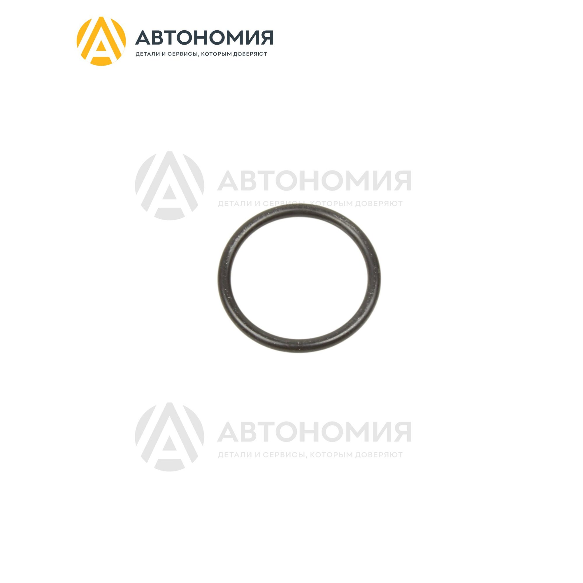 Кольцо уплотнительное тормозной ленты акпп Mercedes-Benz A 005 997 80 48 64
