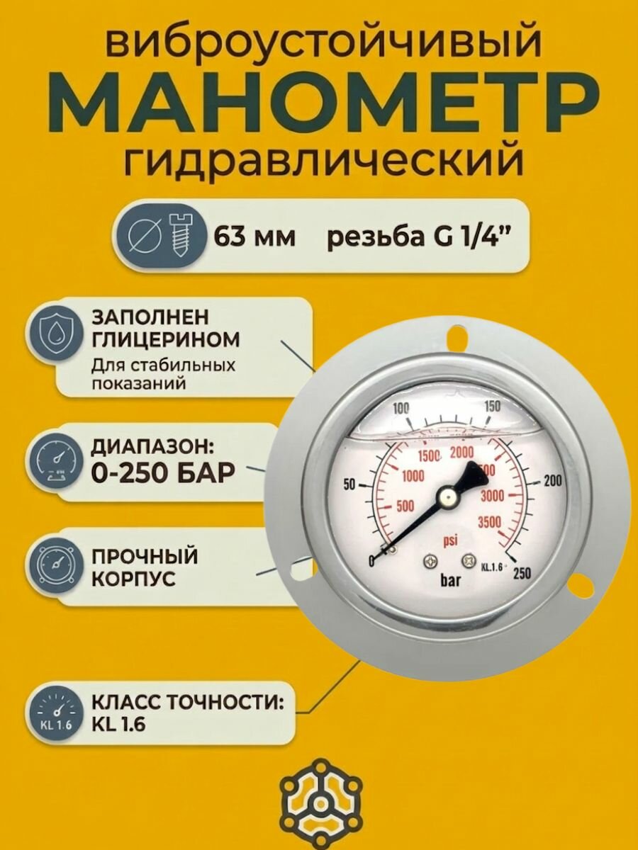 Манометр гидравлический 250 бар 63мм резьба G1/4 виброустойчивый, осевой, панельный монтаж, 63P250. MGE. F HS