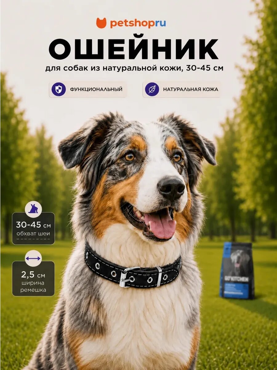 Yami Yami амуниция Ошейник кожаный черный для собак, 2 слоя, язычок 30-45 см