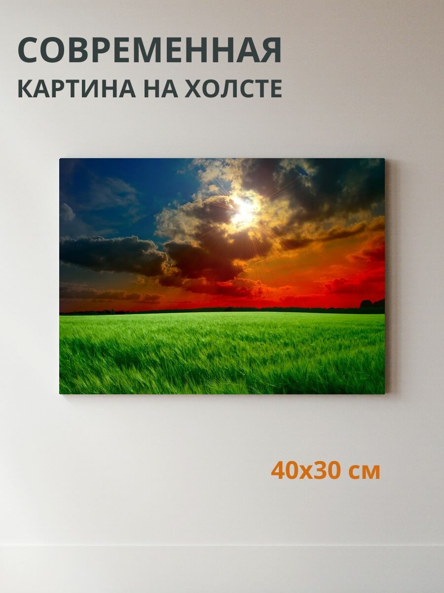 Картина на холсте Поле 40x30 см