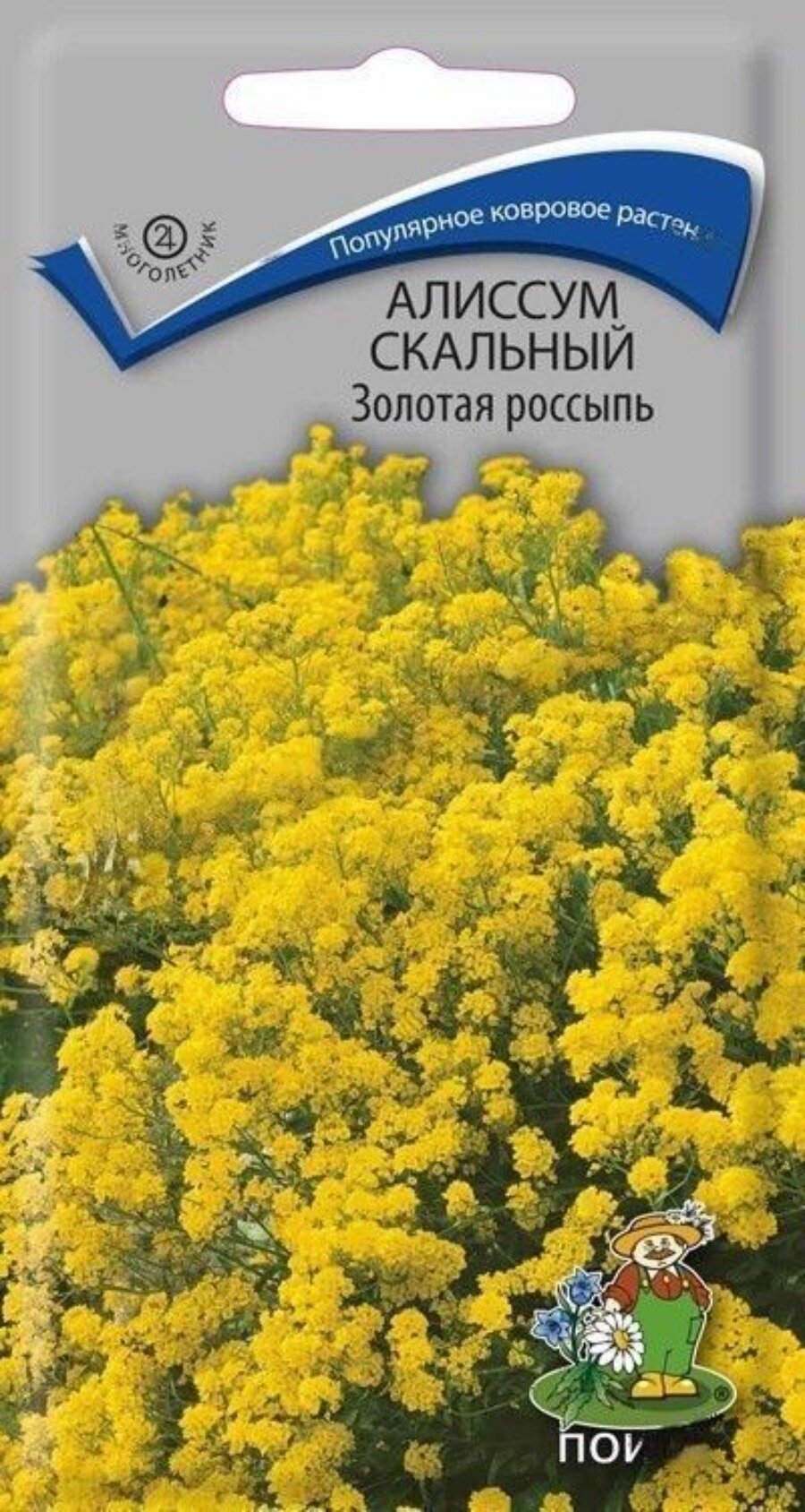Семена Алиссум скальный Золотая россыпь (0,1 г), многолетник