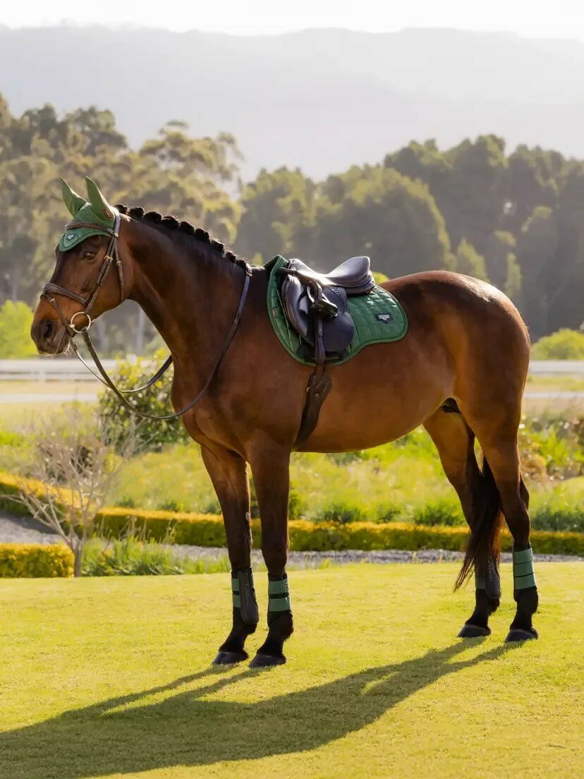 Вальтрап конкурный для лошади LeMieux Loire Satin Hunter Green, Зелёный.