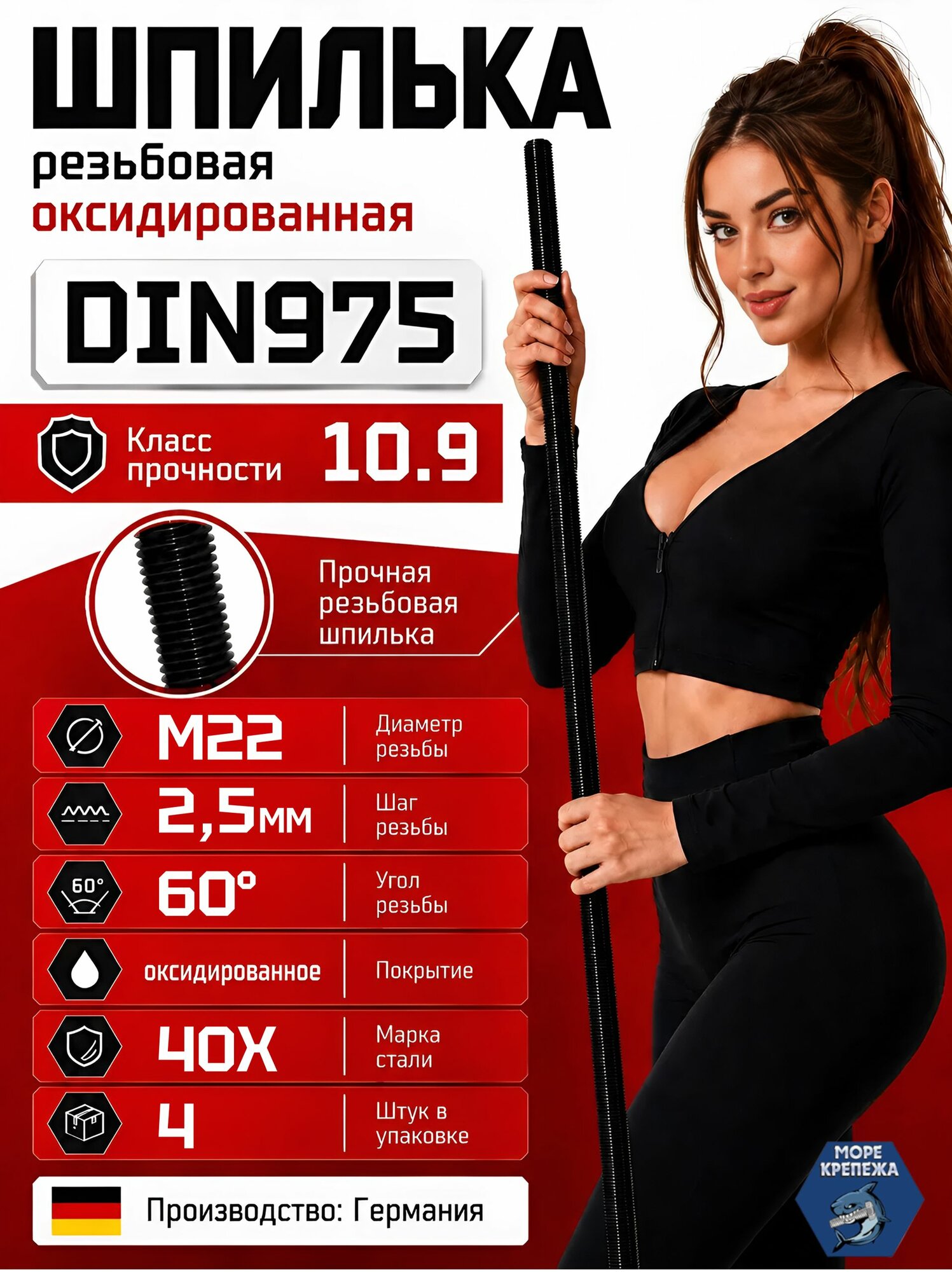 Шпилька высокопрочная резьбовая М22х1000 DIN975 класс прочности 10.9, 4 шт