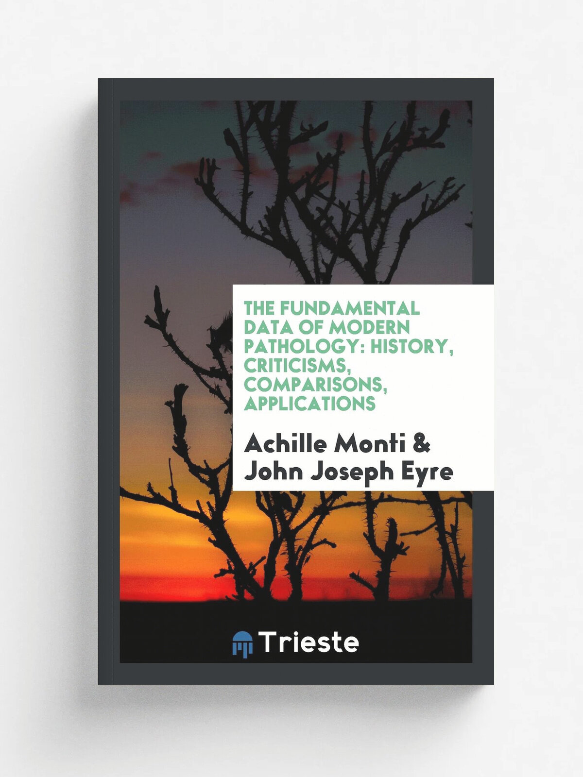 The Fundamental Data of Modern Pathology. History, Criticisms, Comparisons, Applications