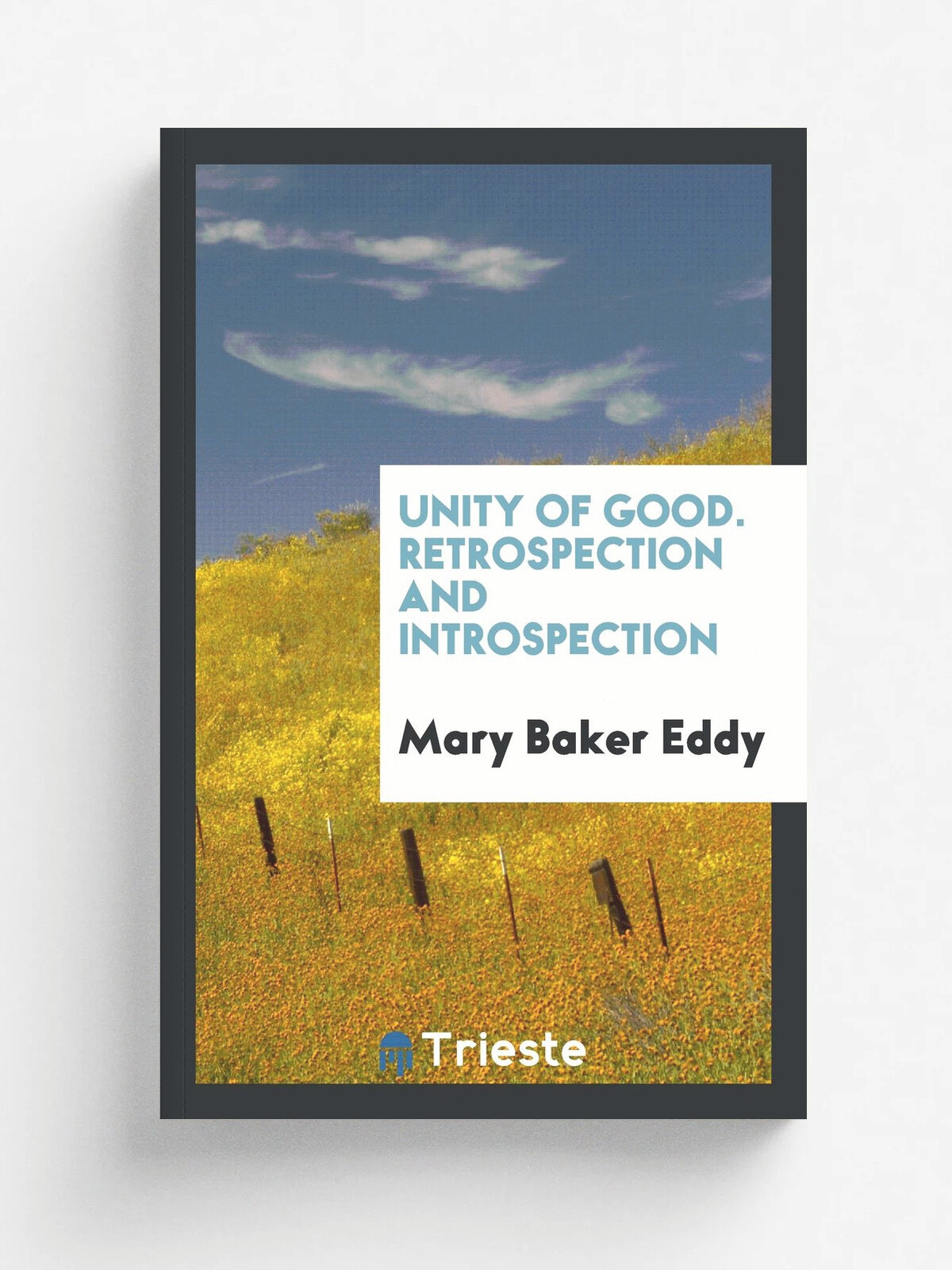 Unity of good. Retrospection and introspection