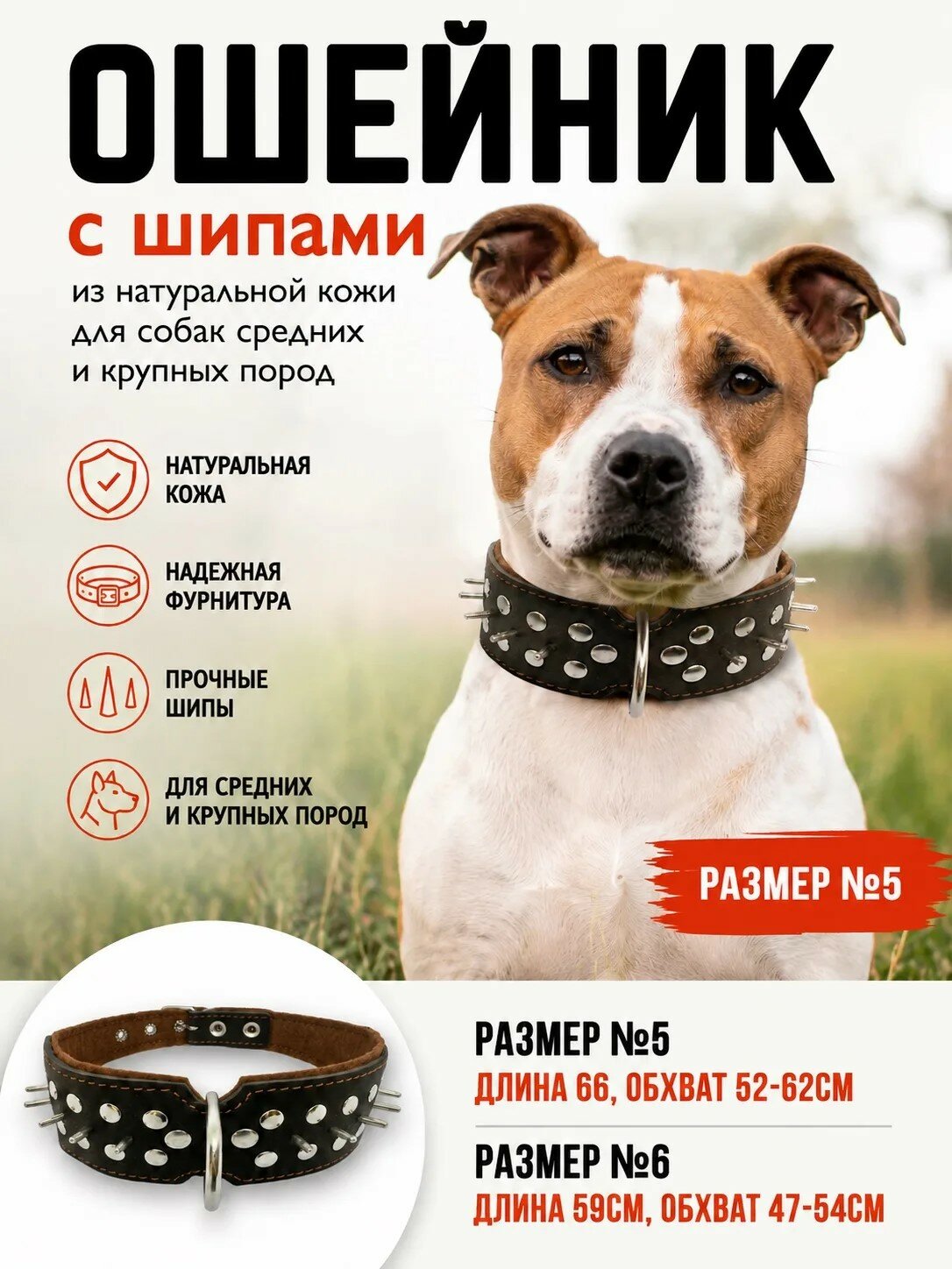 Ошейник Фигурный №5 с шипами кольцо по центру из натуральной кожи