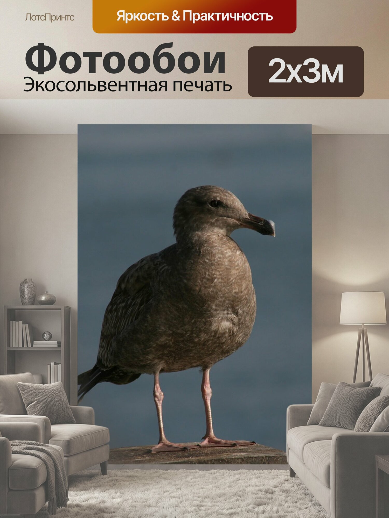 Фотообои "Чайка, птица, сидя" 200x300 см. экосольвентная печать