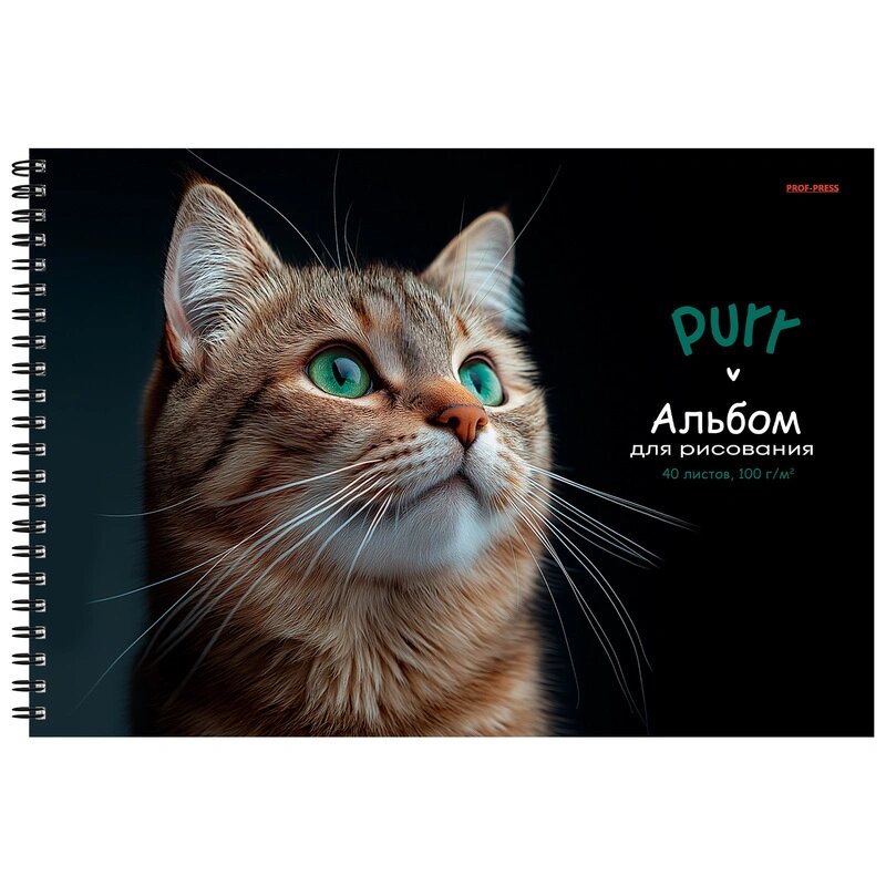 Альбом для рис.40 л Зеленоглазый котик, А40-8350