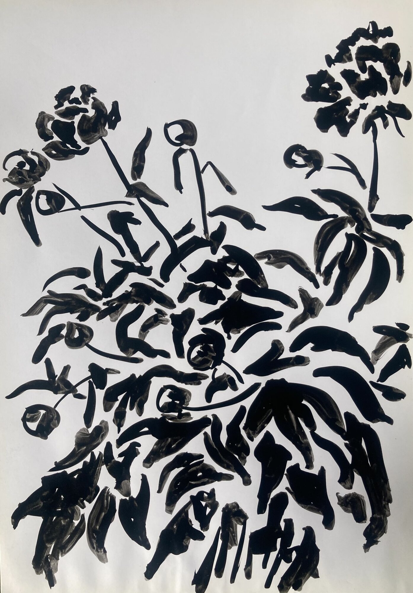 ART-Salon at Oktyabrskaya "Куст пионов" 43х30 см; бумага, тушь; ручная работа