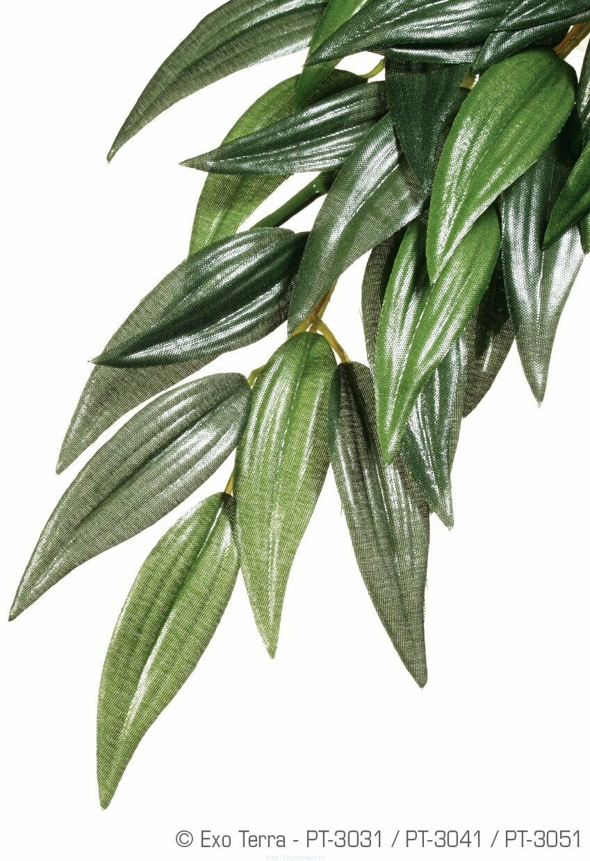 Растения для террариума, тропическое Exo Terra Jungle Plants пластиковое Рускус большое 70х20 см