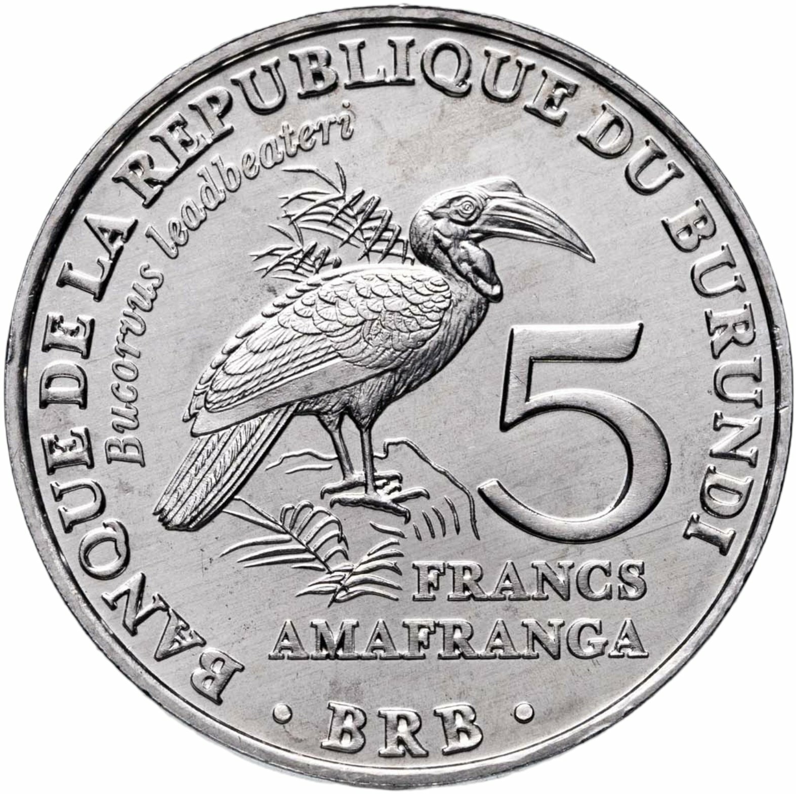 Бурунди 5 франков 2014 Кафрский рогатый ворон, в сохранности UNC