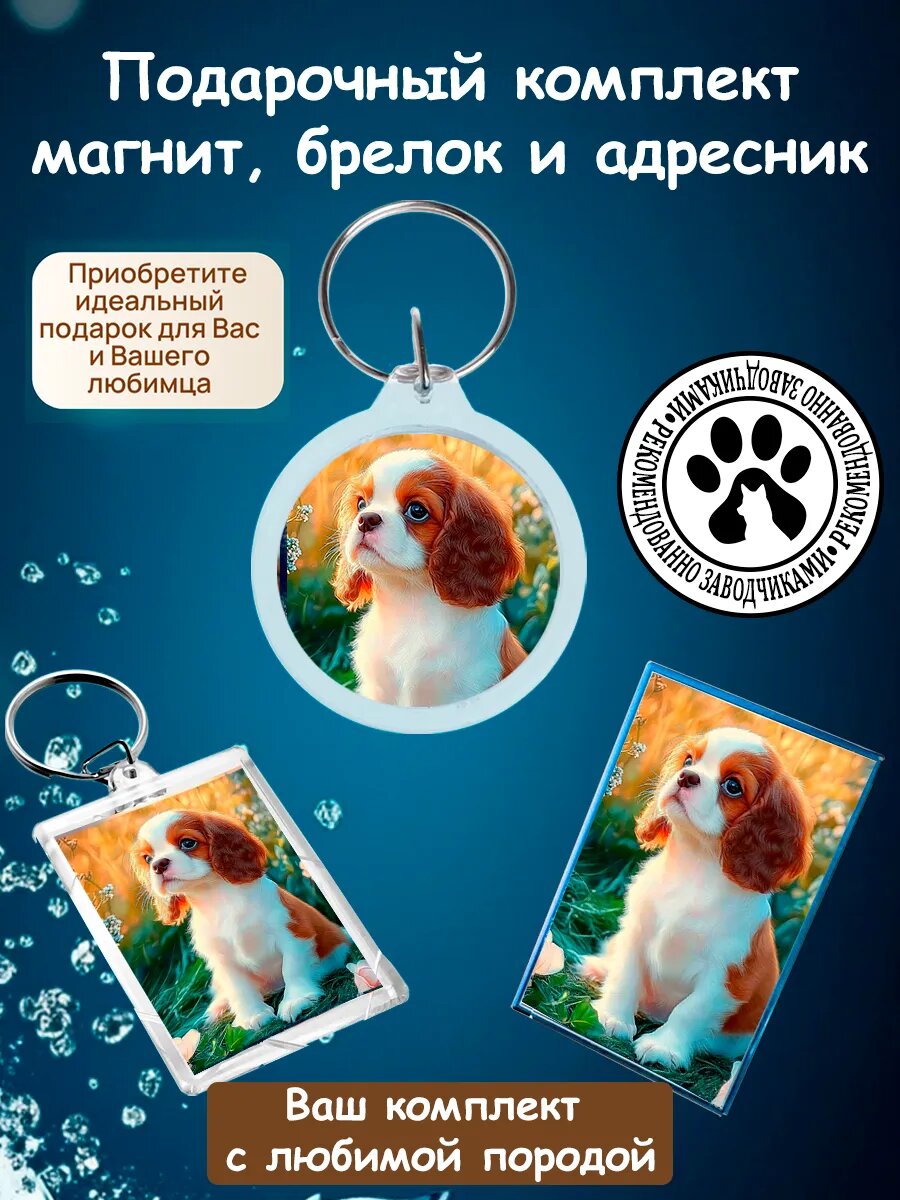 Подарочный комплект магнит брелок адресник