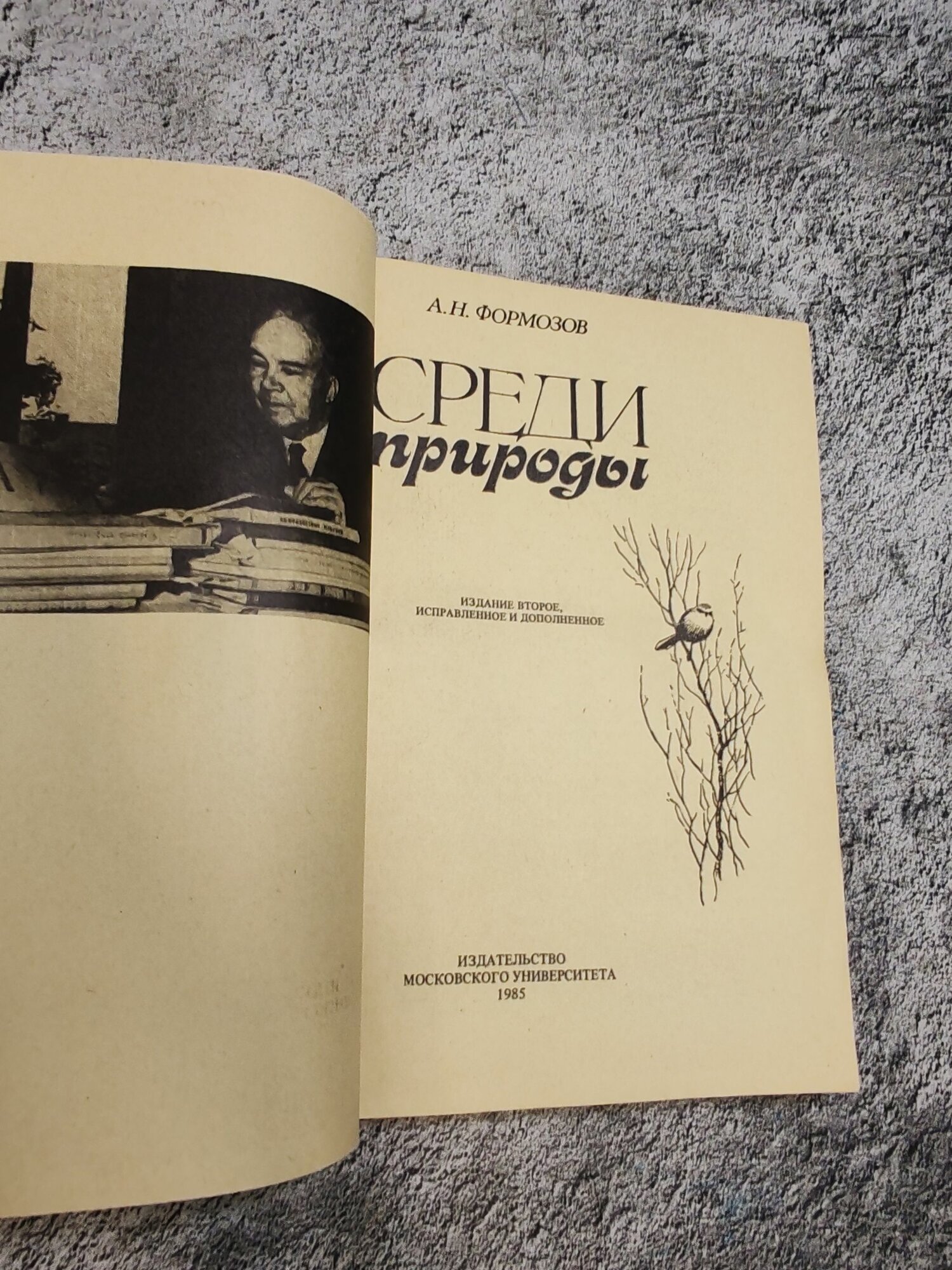 Среди природы (1985 г.) — фото 1