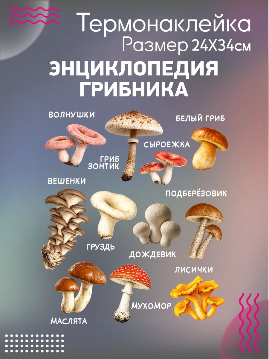Термонаклейка на одежду Энциклопедия грибника