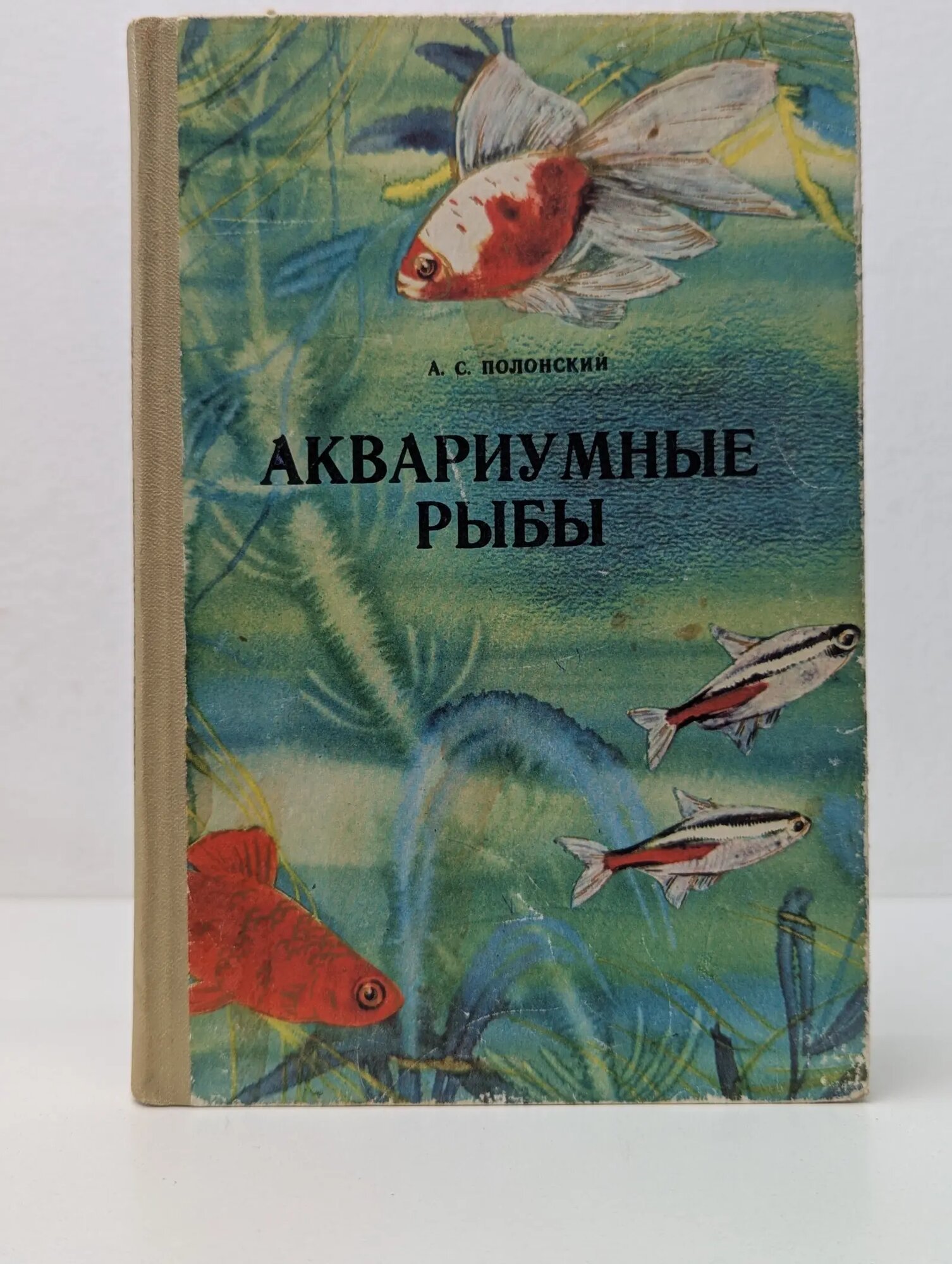 Аквариумные рыбы Полонский Аскар Семенович 1974