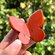 Хрустальная бабочка WASA Crystal Оранжевый, Red Jasper