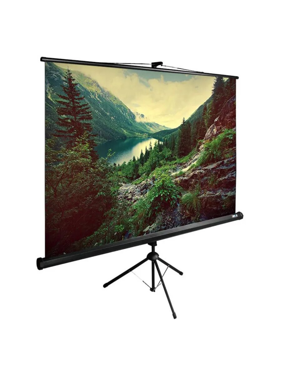 Экран для проектора Cactus TriExpert CS-PSTE-220Х220-BK