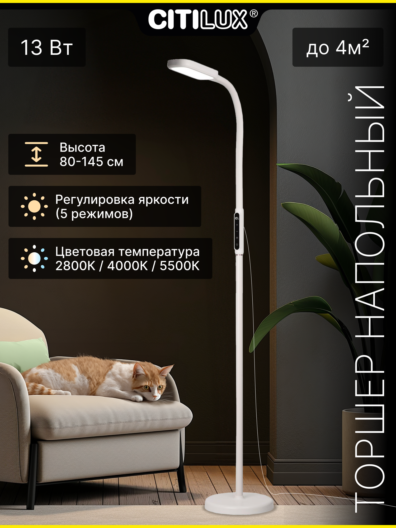 Торшер напольный, современный, в гостиную, в спальню, Citilux Марк CL804020, светильник напольный, лампа напольная