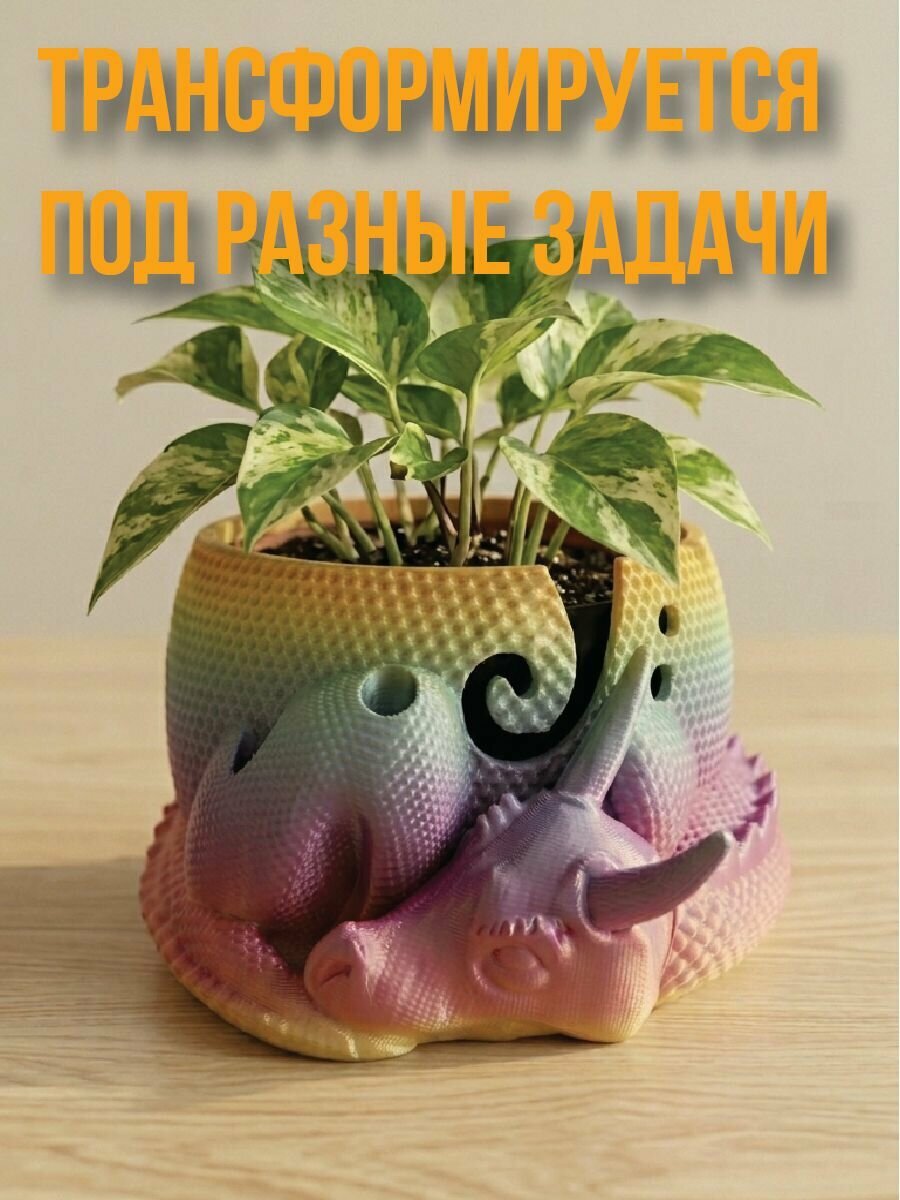 Дракон-клубочница — фото 1