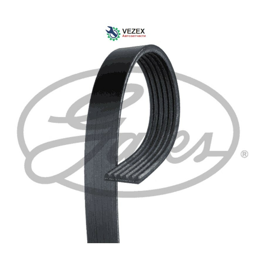 GATES 6PK2013 ремень поликлиновой!\ Mazda 3 1.6 04-08