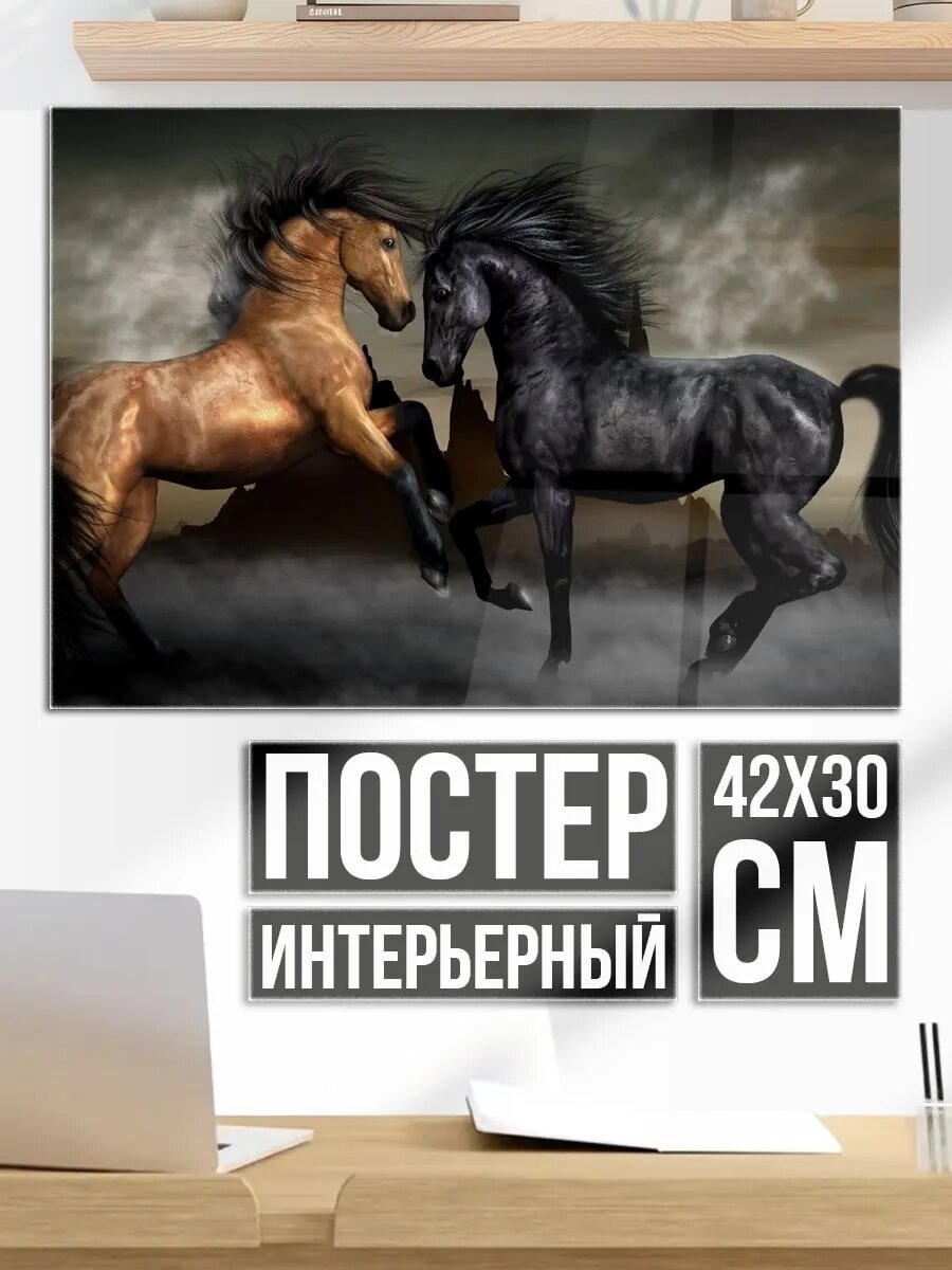 Плакат постер кони инь ян