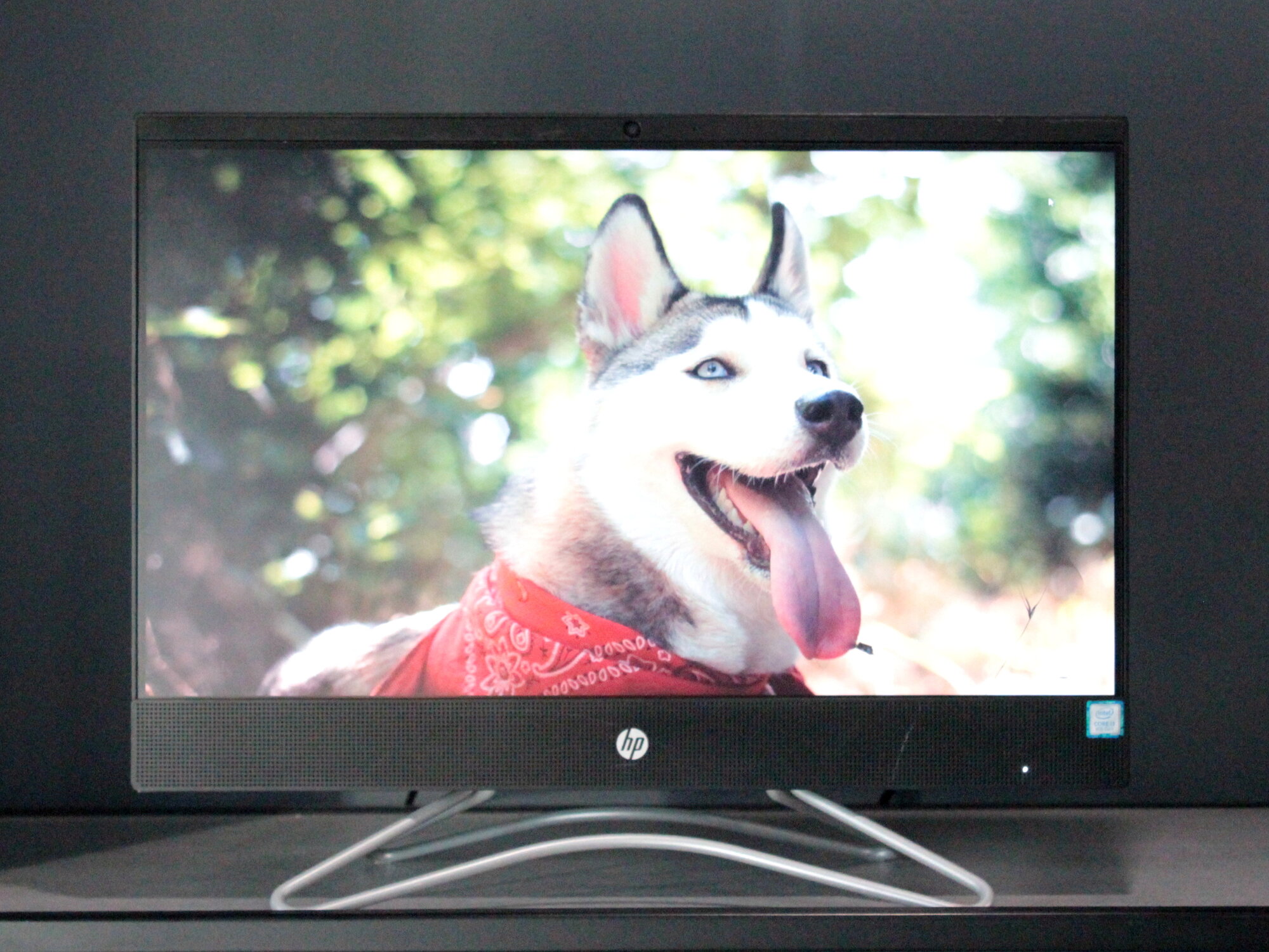 Моноблок для работы HP 200G3 All-In-One i3-8130U/8gb/120gb SSD Win10+Office