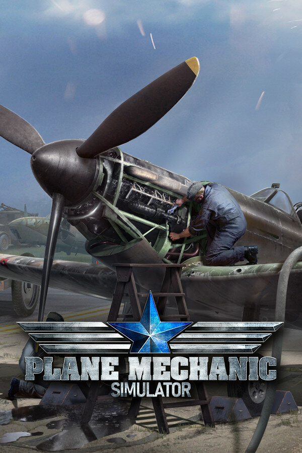 Plane Mechanic Simulator, Все страны