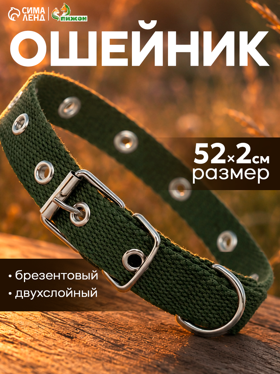 Ошейник Пижон, брезент, двухслойный, универсальный, регулируемый, 52 х 2 см, хаки