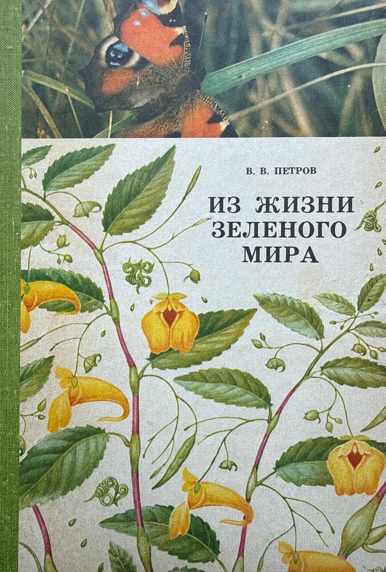 Из жизни зеленого мира