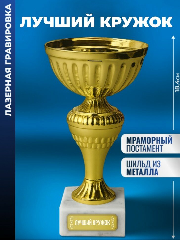 Кубок "лучший кружок"