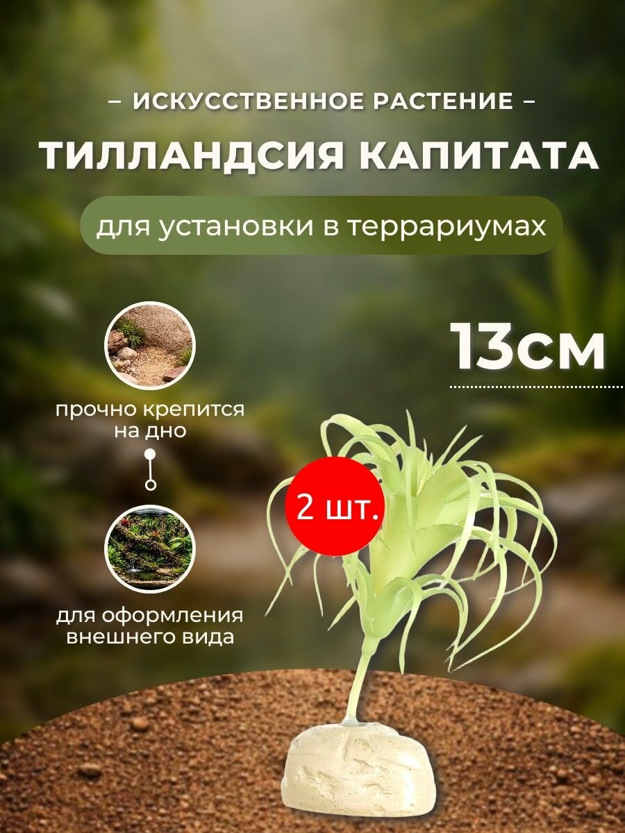 Искусственное 2 шт. растение Nomoy Pet "Тилландсия капитата", 13 см. Номой Пет